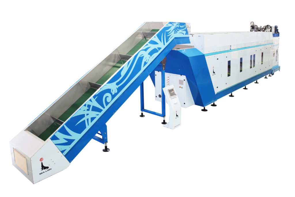 Washing - Sea-lion - Together, we create a clean world!